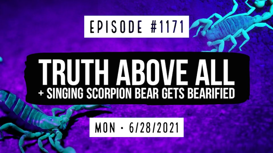 #1171: Truth Above All & Singing Scorpion Bear Gets Bearified – Ladle.TV