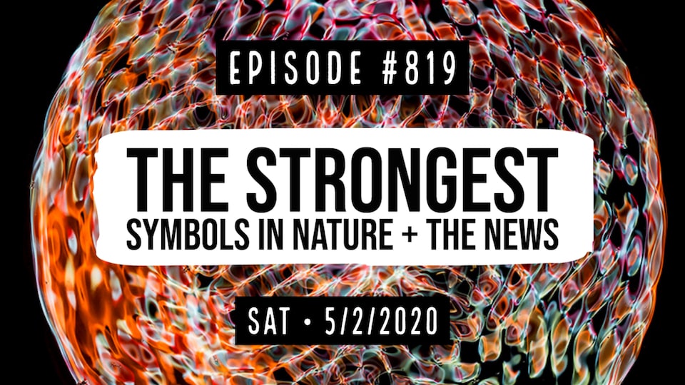 #0819: The Strongest Symbols in Nature, & The News – Ladle.TV