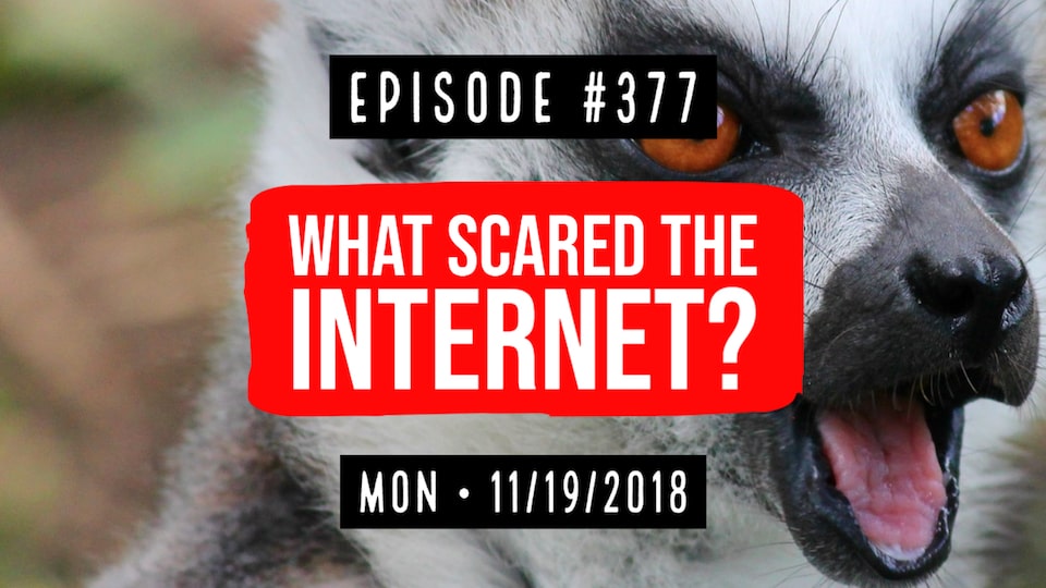 #0377: What Scared The Internet – Ladle.TV