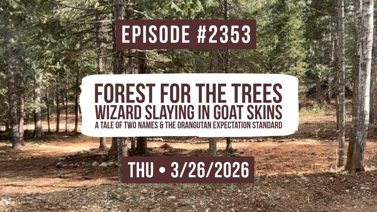 #2343 Forest For The Trees – Wizard Slaying In Goat Skins, A Tale Of ...